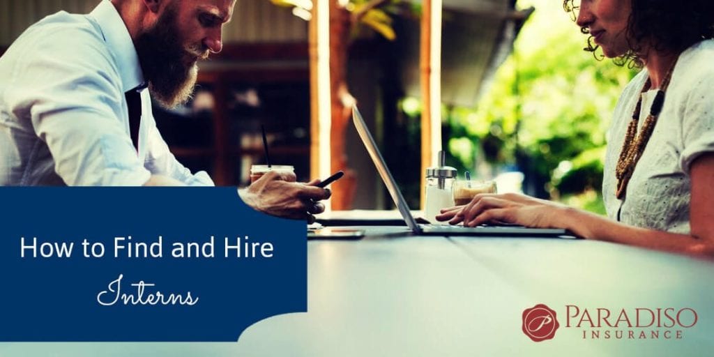 How to Hire Interns | Paradiso Insurance