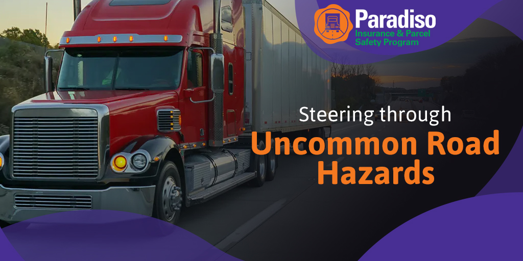 4 Most Uncommon Road Hazards Every Truck Driver Should Know | Paradiso ...